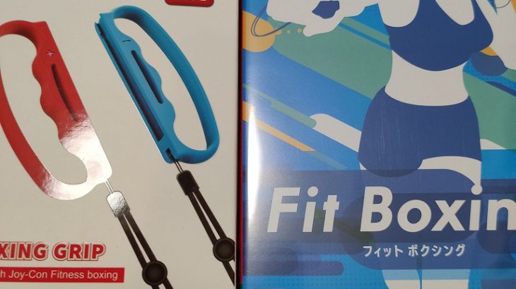 [Switch] FitBoxing 購入から数日目の体調変化メモ │ FXFROG